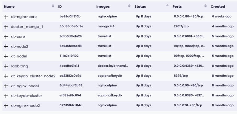 What is Docker Container Monitoring? - Xitoring